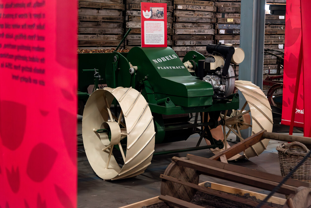 Discover the Magic of the Tulip | Tulip Experience Amsterdam